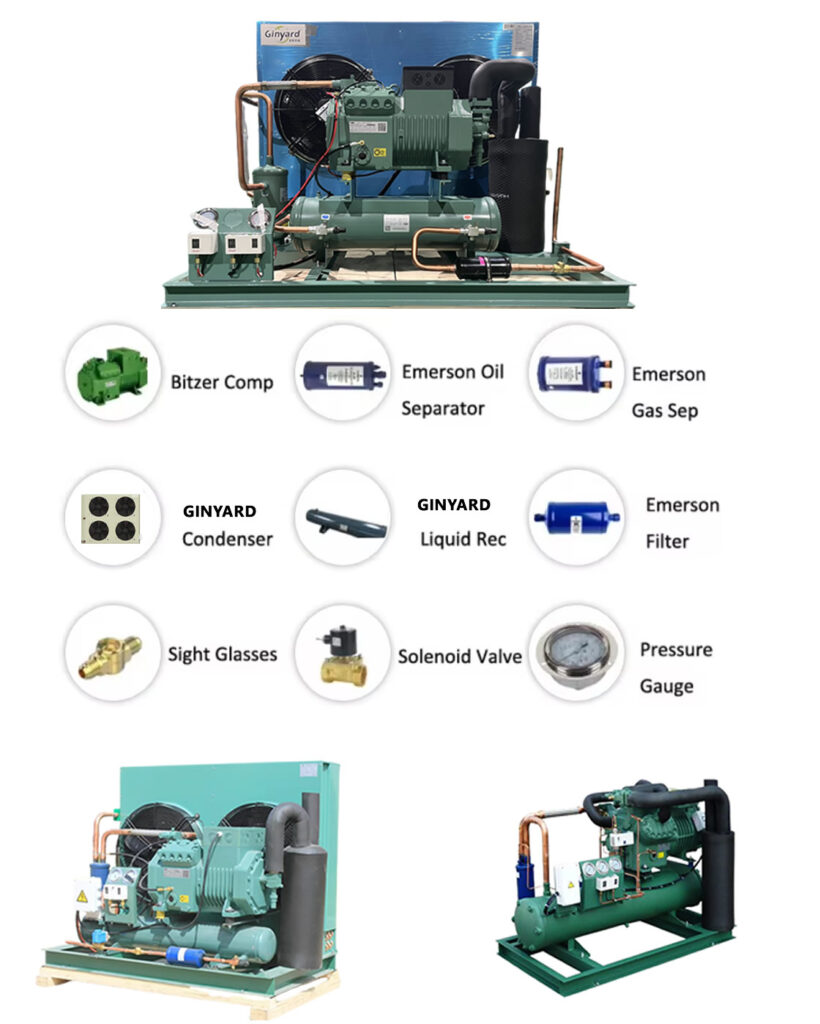 BITZER Low Temperature Cold Storage Compressor Cold Room Freezer ...